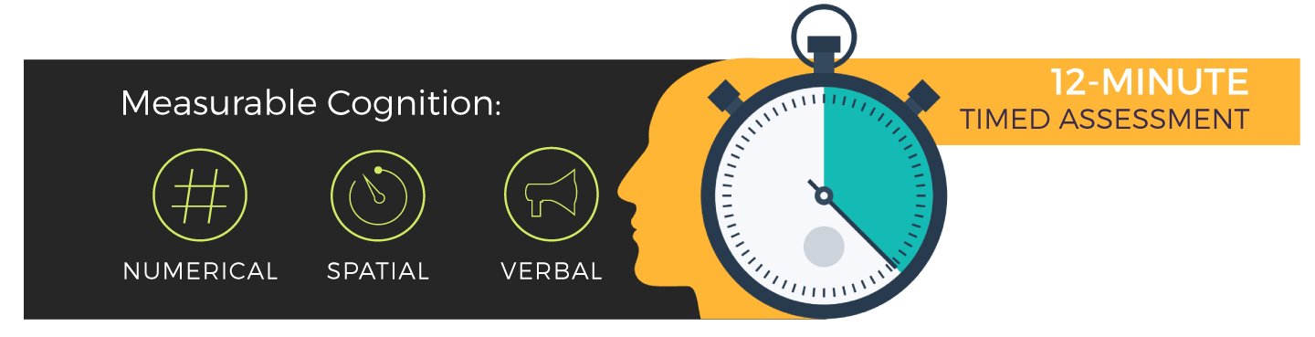 PI Cognitive Assessment